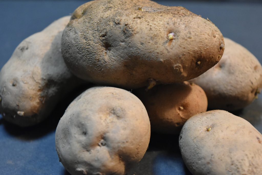 Kobo imo (potato) - The Ultimates of Gifu