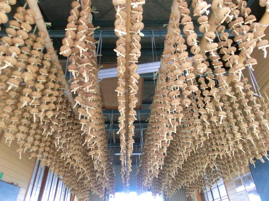 Tama (ball) miso - The Ultimates of Gifu